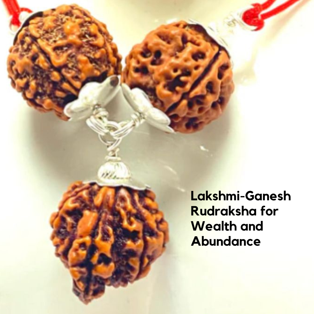Lakshmi Ganesh Kavach Combination in Pure Silver Capping – Ehesas USA